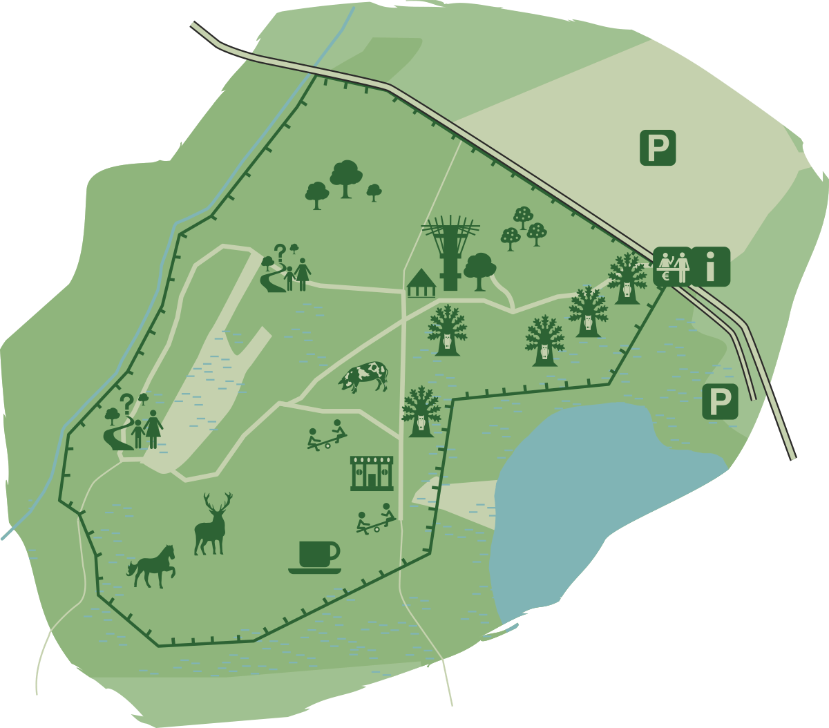 Ivenacker Eichen - Wald-MV